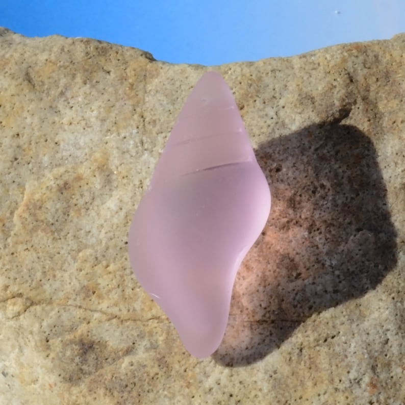 Sea Glass Large Conch Shell Rainbow 1PC 39x20mm Cultured Sea - Etsy