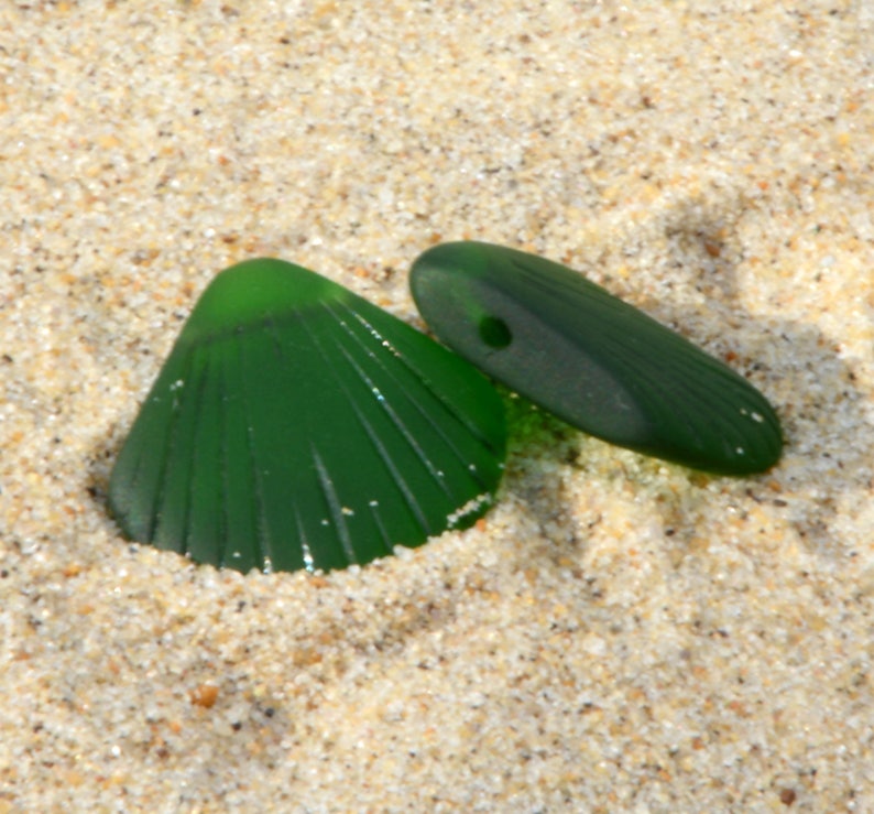 Sea Glass Shell 2pcs 29x27mm LG GREEN Tip-drilled Shell - Etsy