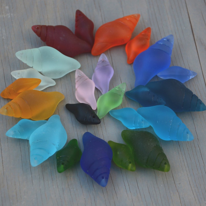 Sea Glass Large Conch Shell Rainbow 1PC 39x20mm Cultured Sea - Etsy