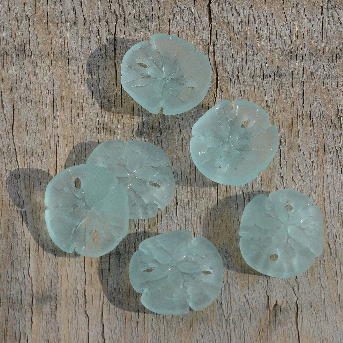 More Colors~2 Pcs (21x19mm) Mini Green Sand Dollar 2-hole Earring Size ...