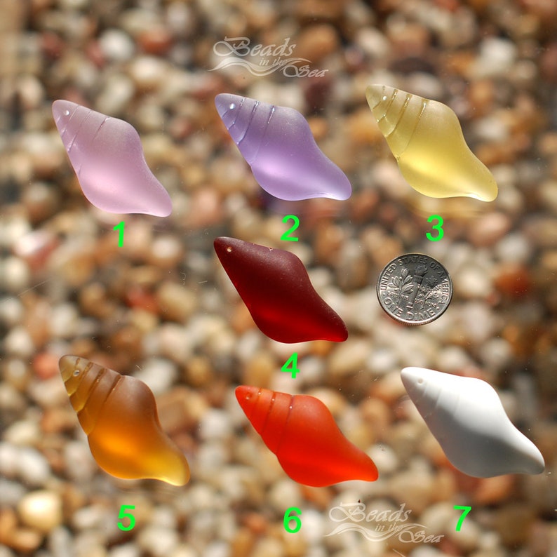 Sea Glass Large Conch Shell Rainbow 1PC 39x20mm Cultured Sea - Etsy