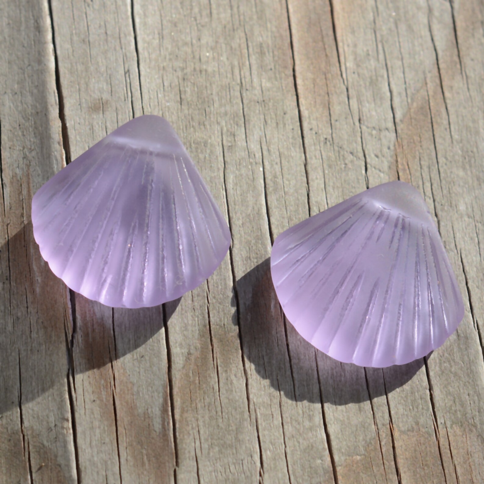 Sea Glass Shell 2pcs (29x27mm) Rainbow LG Tip-drilled Shell Cultured ...
