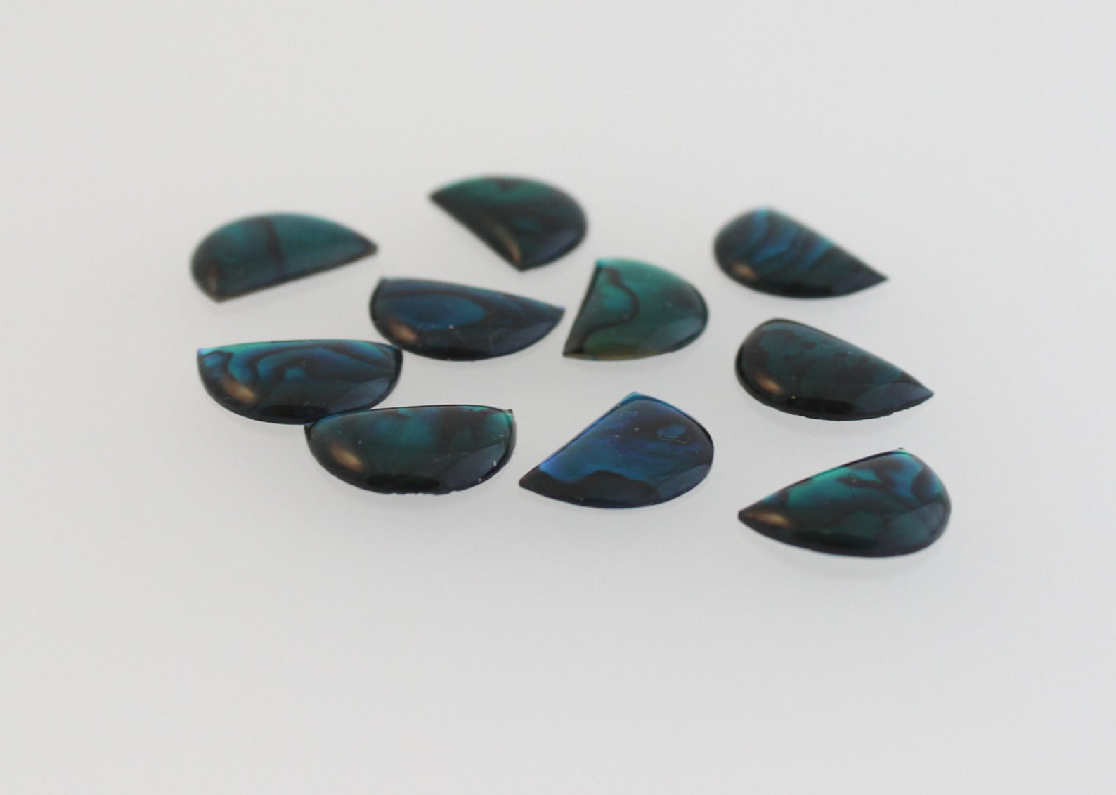 Abalone Shell 18X13MM Half an Oval Flat Cabochons Natural Paua | Etsy