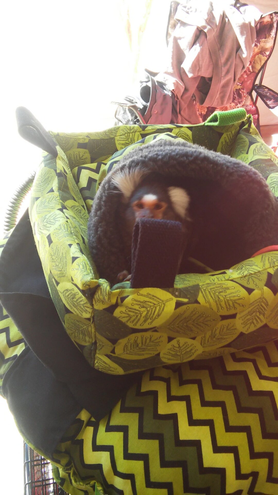 10" Hanging Snuggle Bed, Monkey Bed, Tamarin Bedding, Monkey Furniture ...