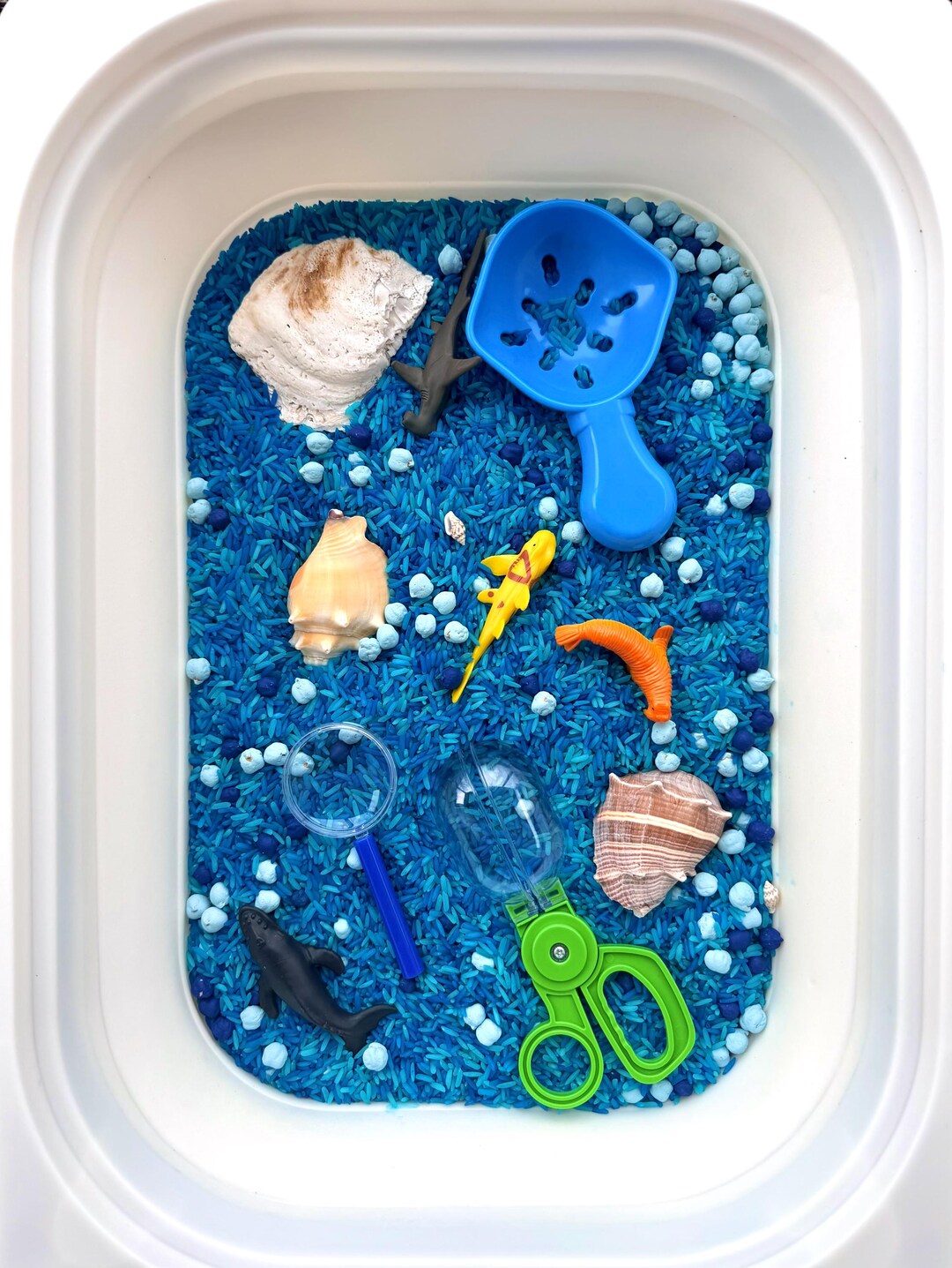 Ocean Sensory Bin Kit, Under the Sea, Fine Motor Skills - Etsy
