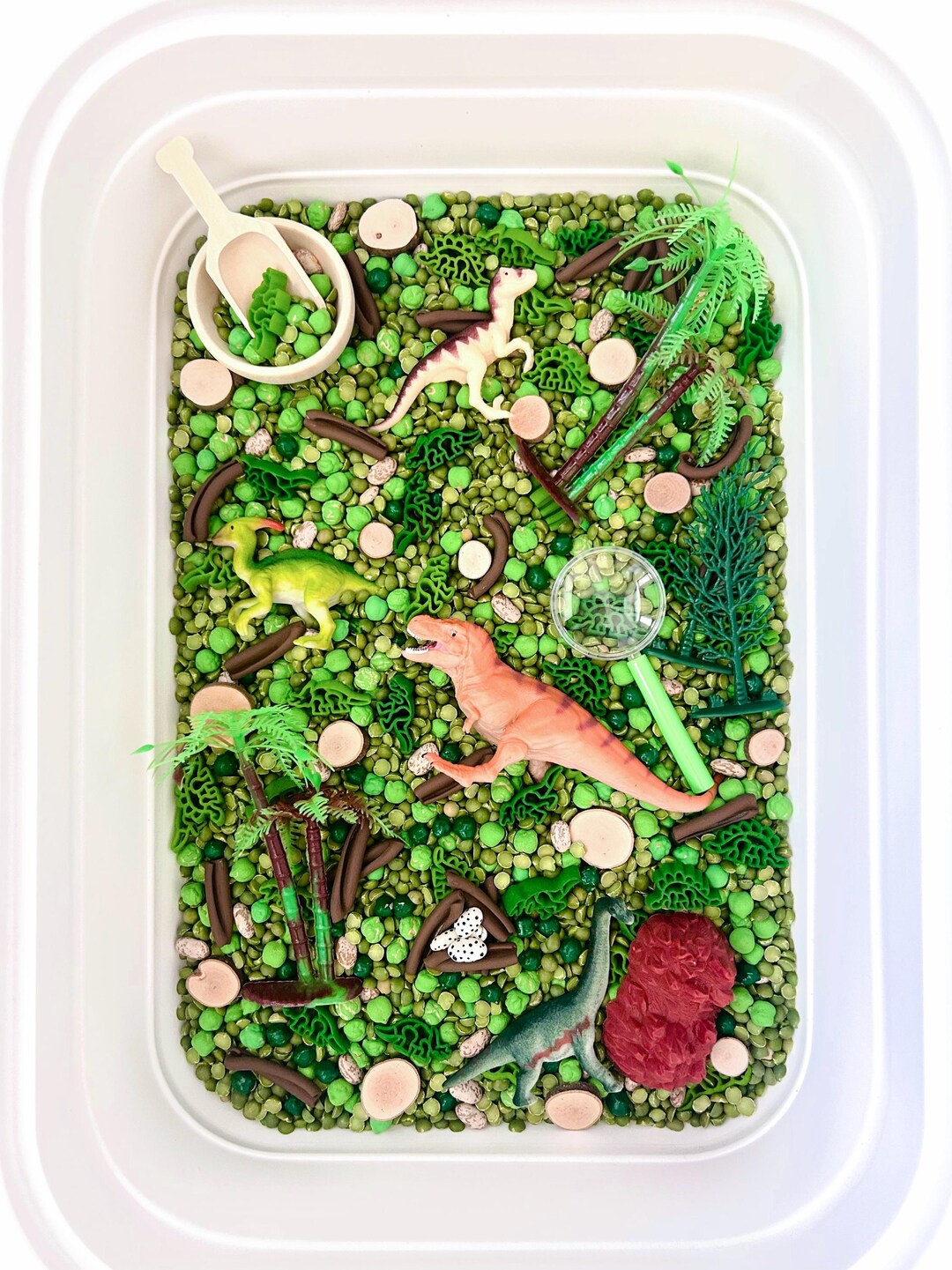 Dinosaur Sensory Bin, Dino Dig Kit - Etsy