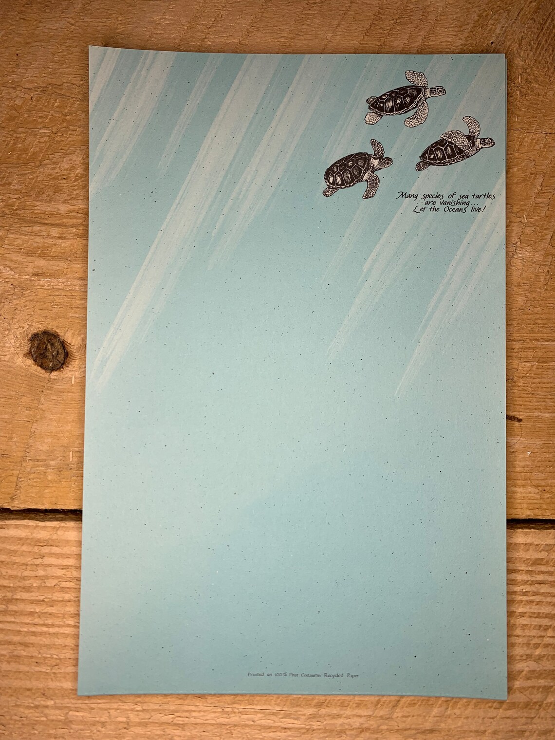 Turtle Stationery Set. Letter Writing Kit With Sea Turtle - Etsy