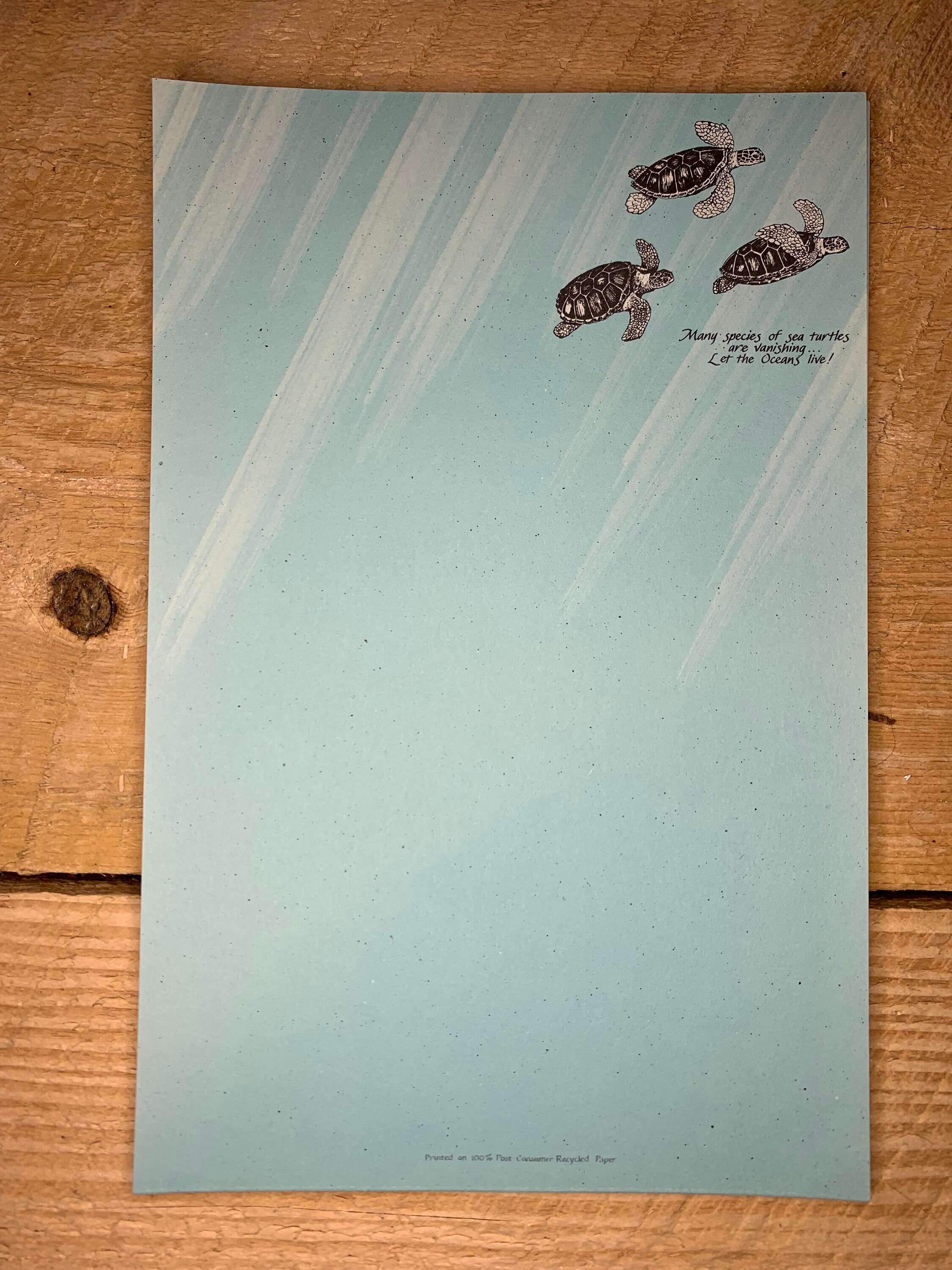 Turtle Stationery Set. Letter Writing Kit With Sea Turtle - Etsy