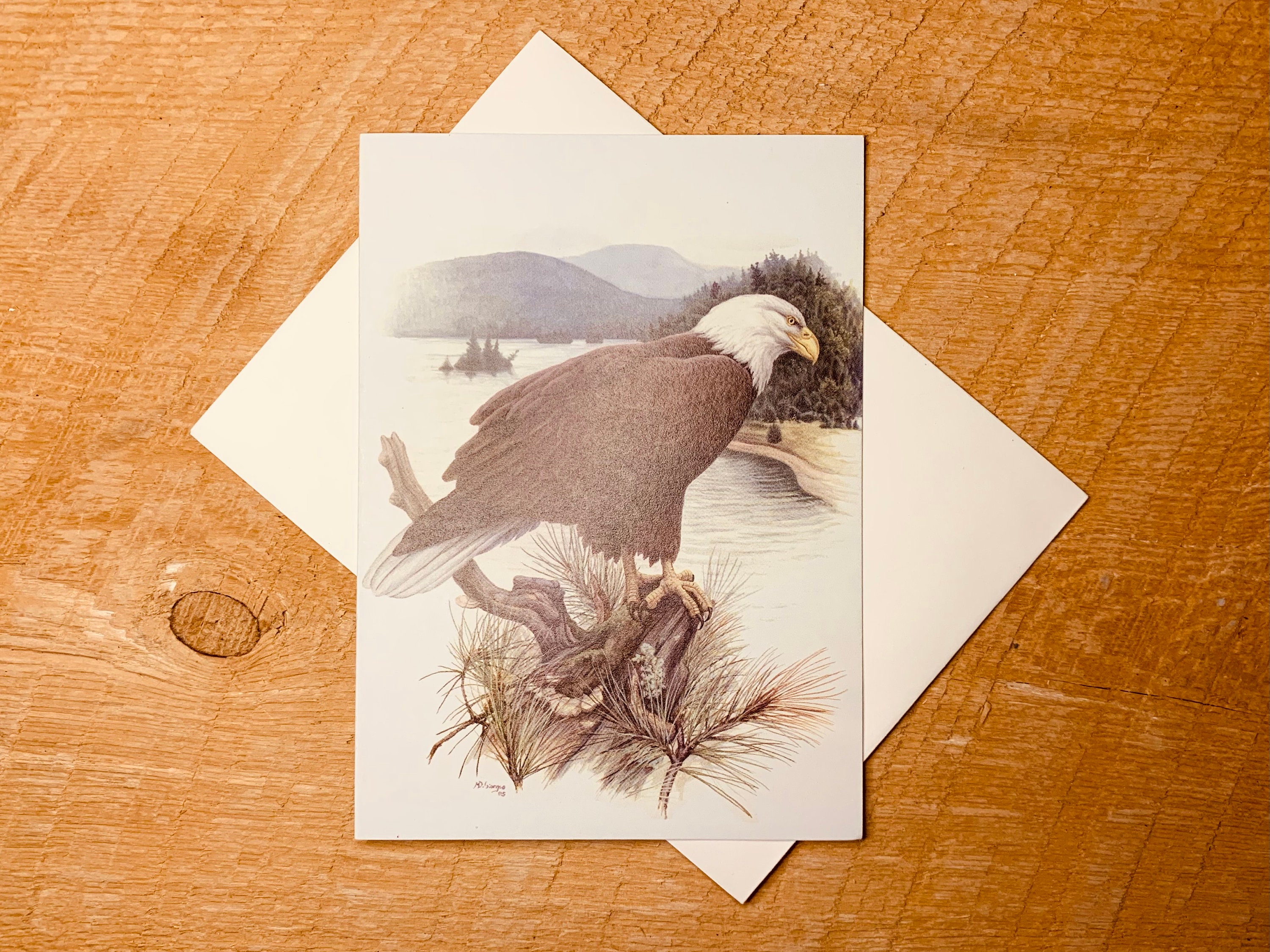 Eagle Greeting Cards With Matching Envelopes, Notecard Set of 6. - Etsy