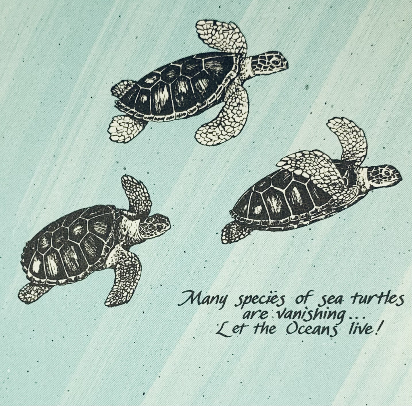 Turtle Stationery Set. Letter Writing Kit With Sea Turtle - Etsy