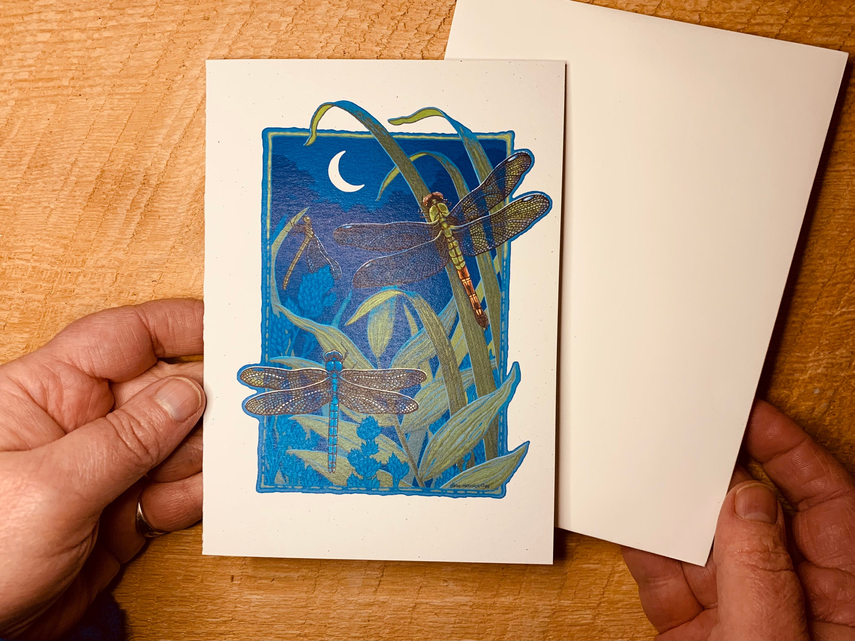 Dragonfly Greeting Cards With Matching Envelopes Notecard Set - Etsy