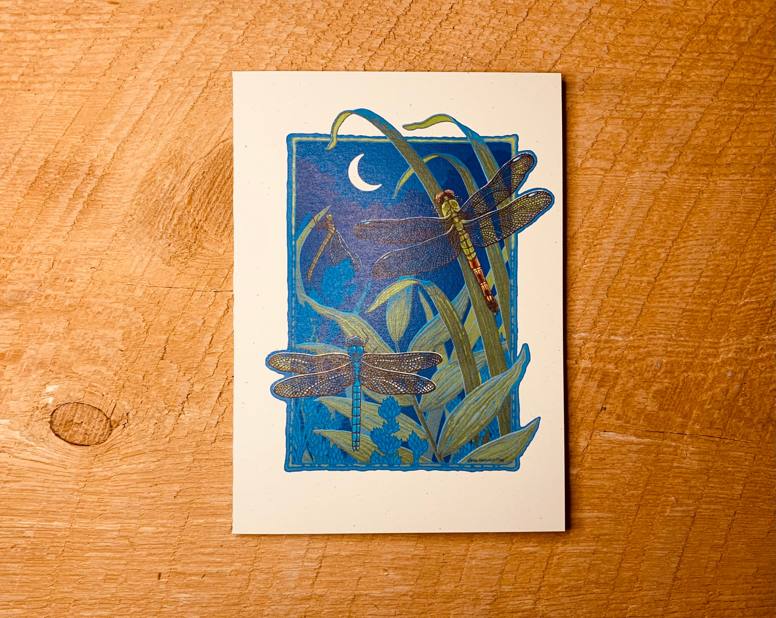 Dragonfly Greeting Cards With Matching Envelopes Notecard Set - Etsy