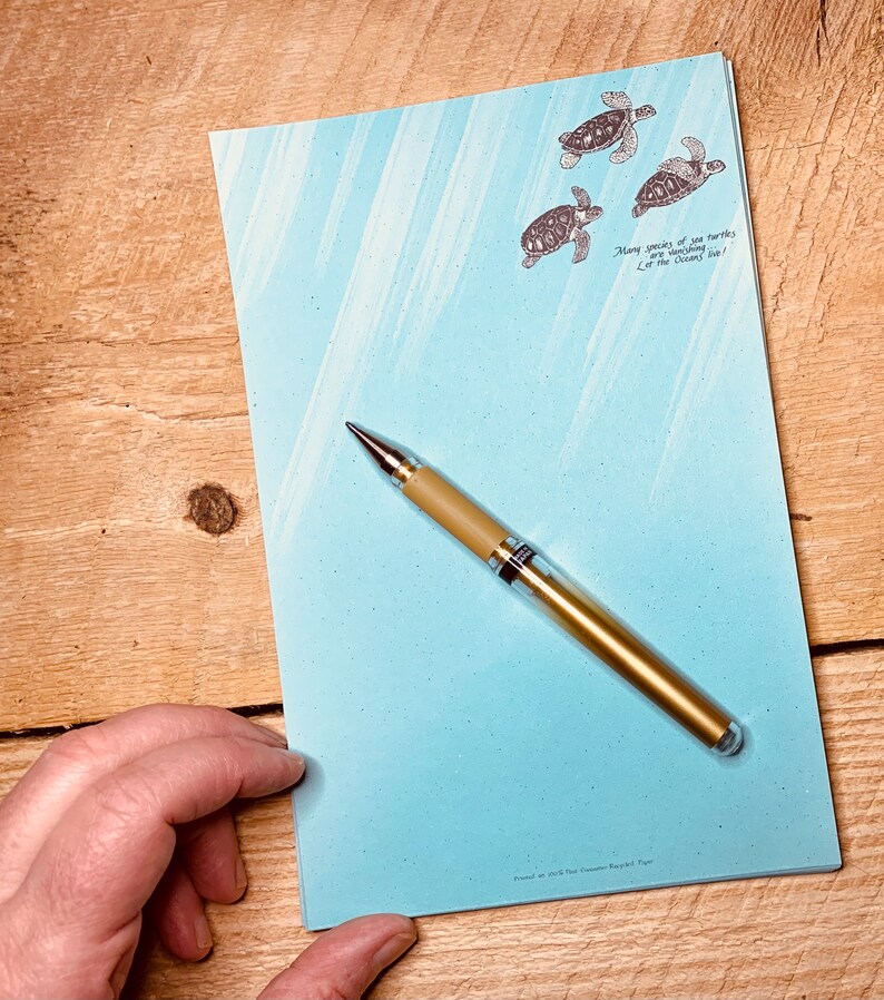 Turtle Stationery Set. Letter Writing Kit With Sea Turtle - Etsy
