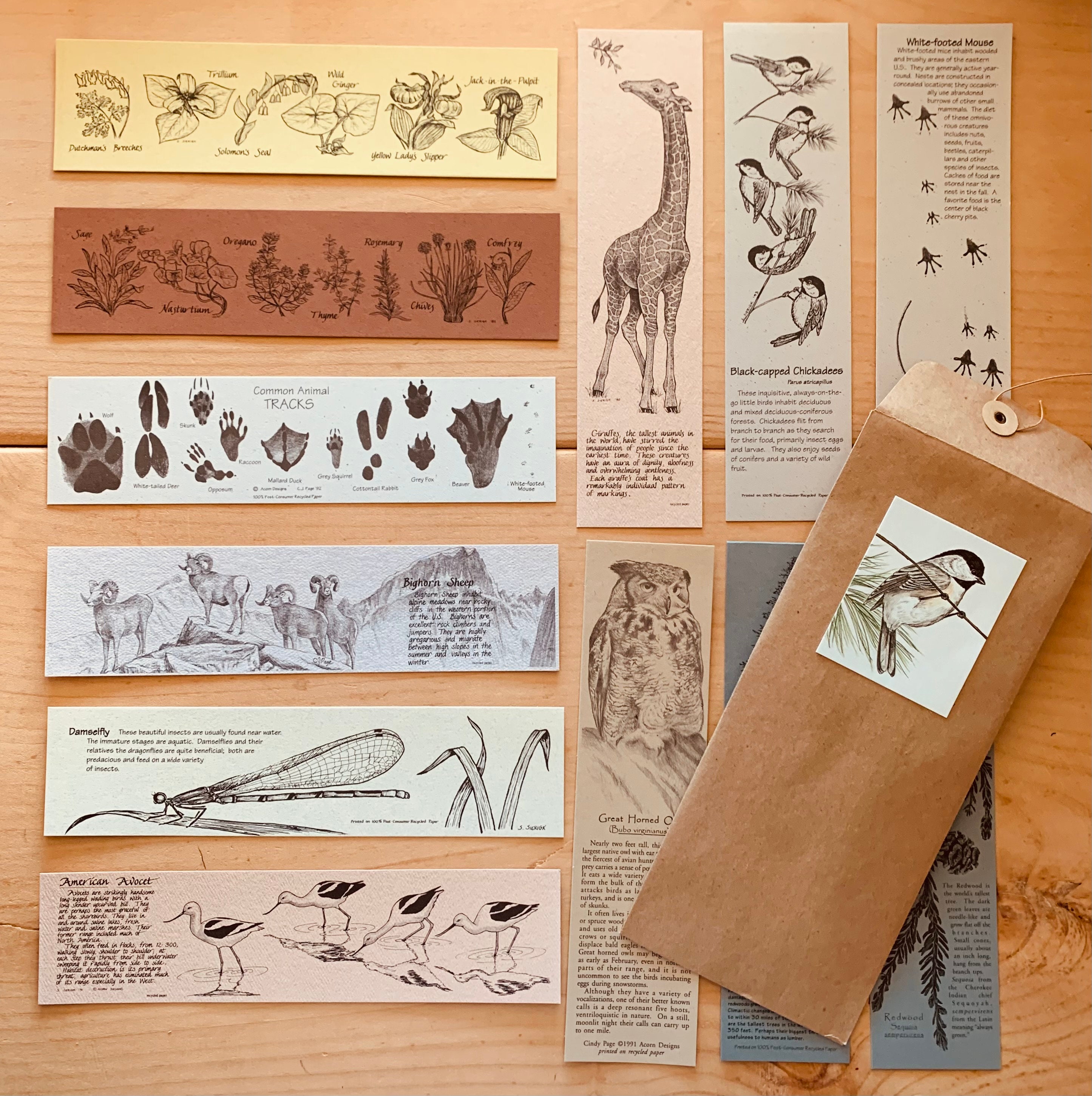 Nature Bookmarks in Set of 12. Beautiful Animal Plant Flower Bookmarks ...