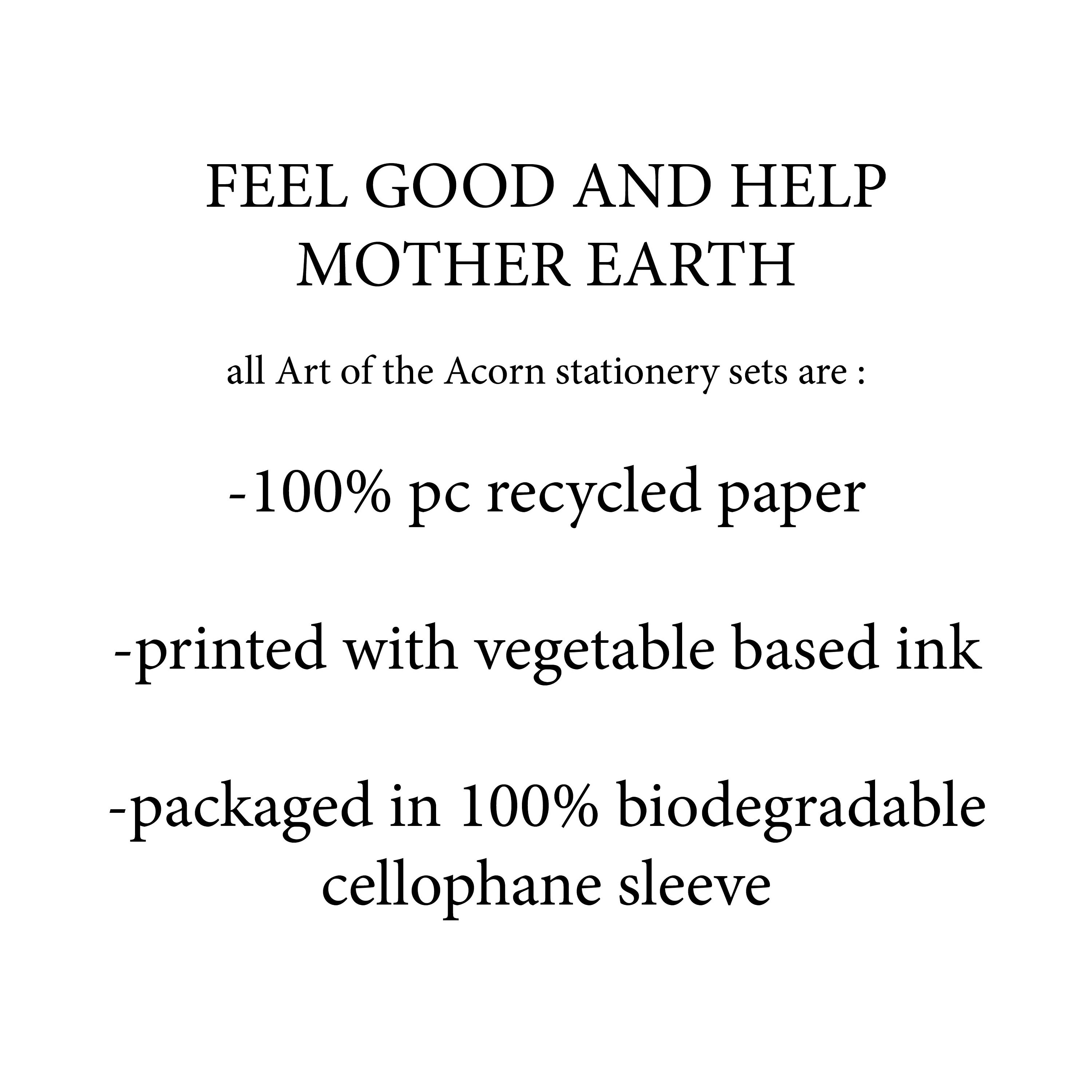 Turtle Stationery Set. Letter Writing Kit With Sea Turtle - Etsy