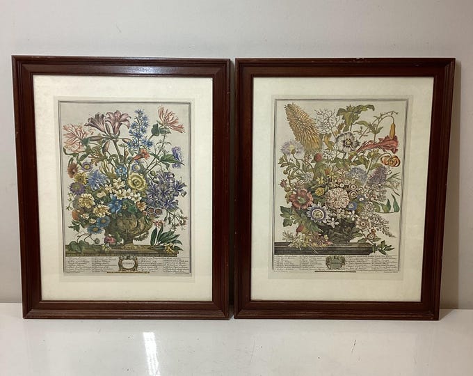 Vintage Robert Furber Flowers of the Month August October Framed Pair ...
