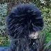 Fluffy Tufty Black Luxury Faux Fur Hat With Polar Fleece Lining-fur Hat ...