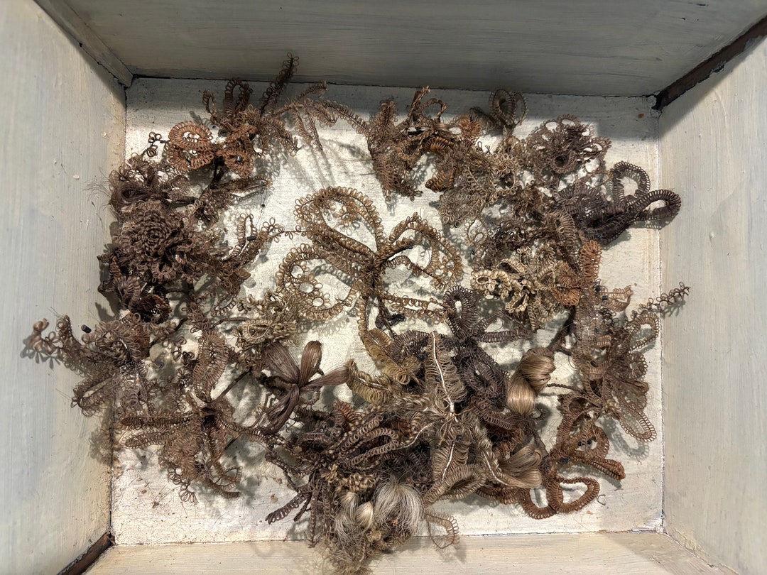 Antique Victorian Human Hair Art Mourning Framed - Etsy