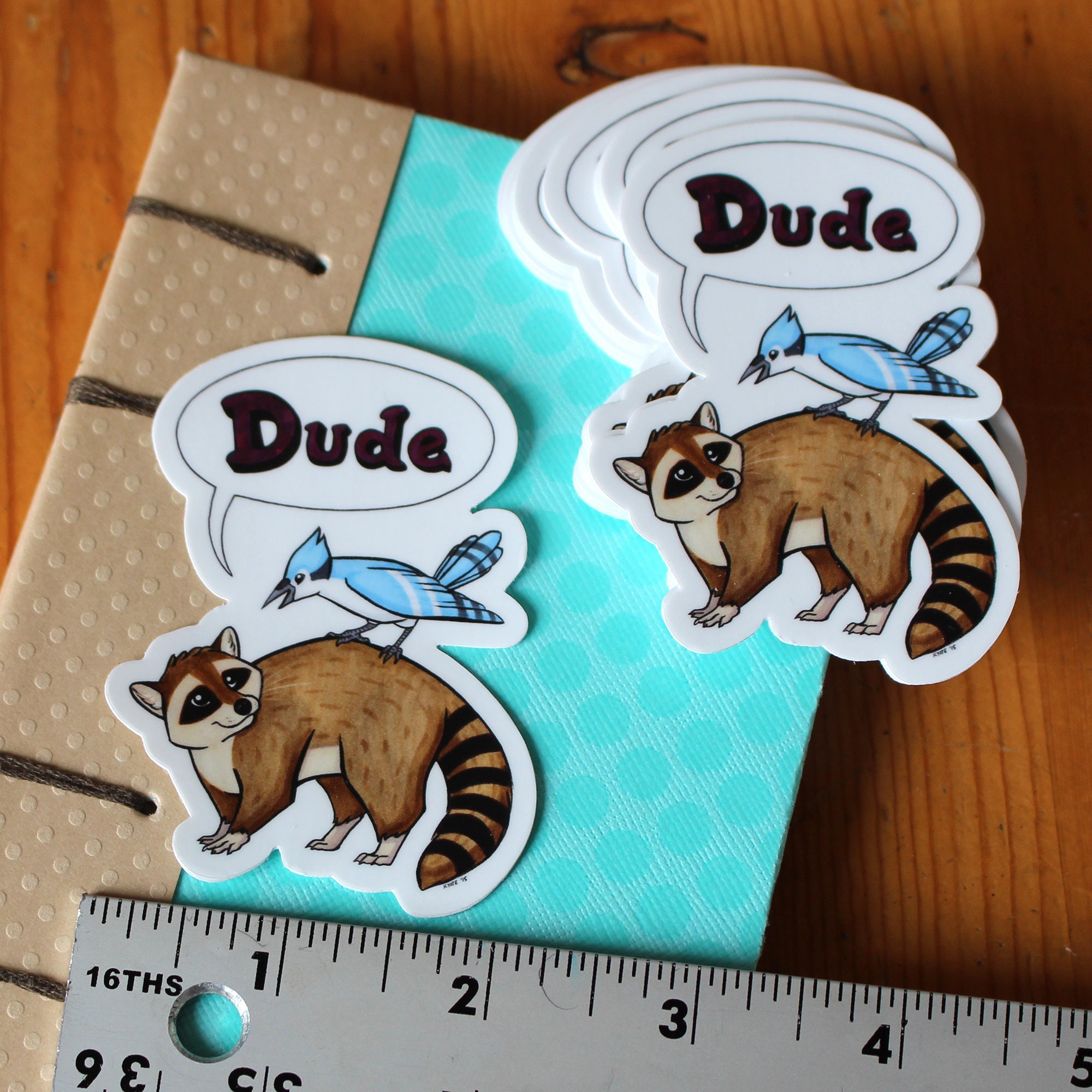 Blue Jay And Raccoon