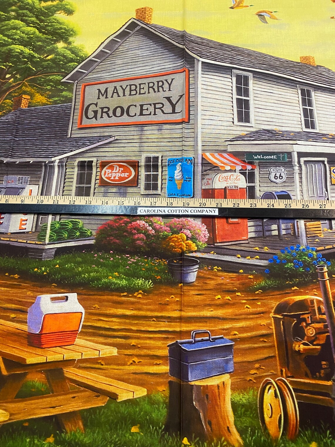 Countryside Mayberry Grocery Old Country Corner Store, Picnic, Vintage ...