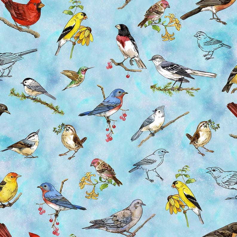Drawn to Birds Spring Songbird and Floral 100% Cotton Fabrics! 4 Styles ...