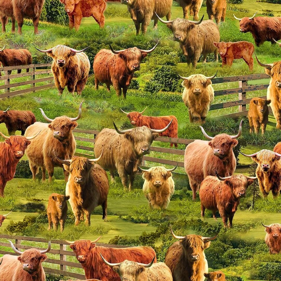 Farm Life CD3076 Highland Cows Pasture 100% Cotton Fabric - Etsy