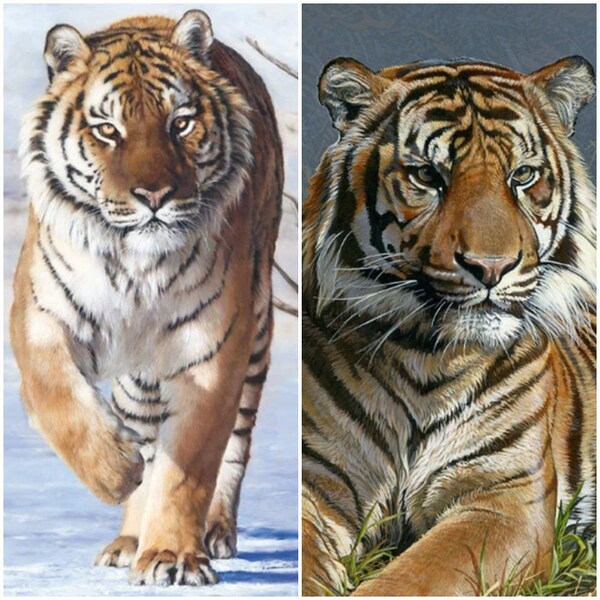 Tiger Fabric Panels - Etsy