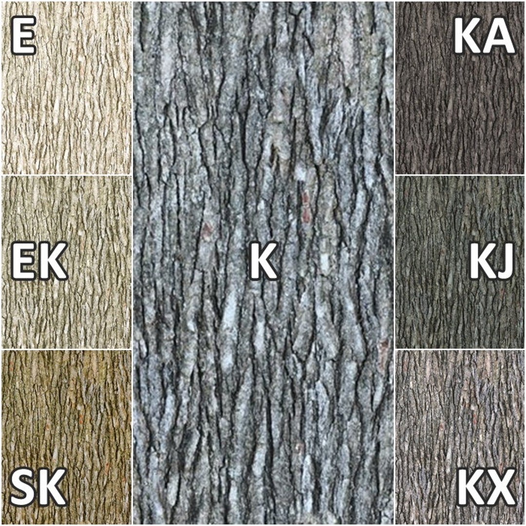 Open Air Landscape Nature Tree Bark Wood 28112 100% Cotton Fabric by QT ...