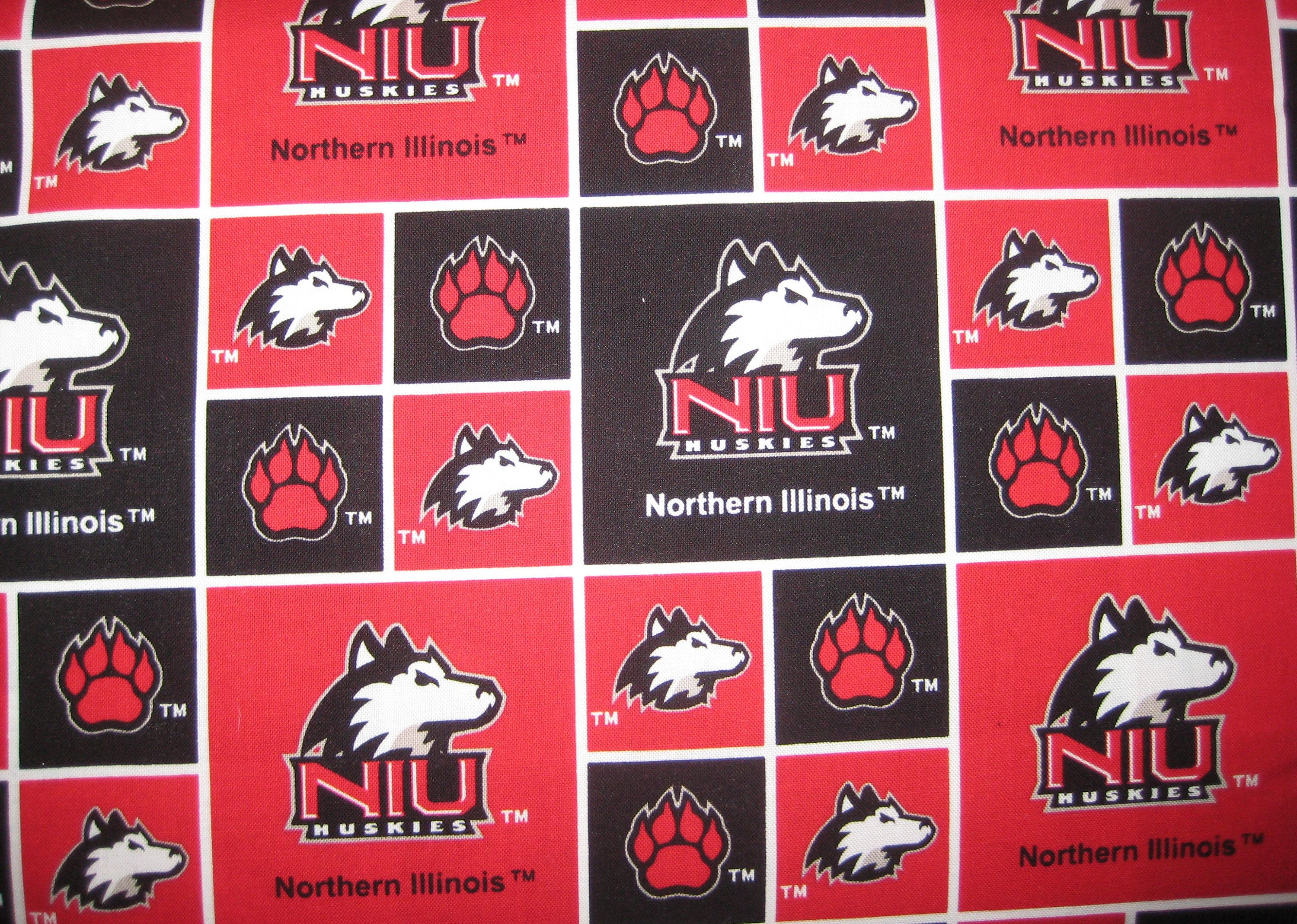 Niu Huskies Logo