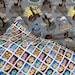 Disney Diabolical Villains 100% Cotton Fabric! the Evil Queen, Cruella ...