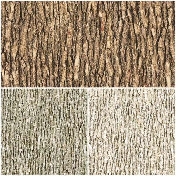 Tree Bark Pattern - Etsy