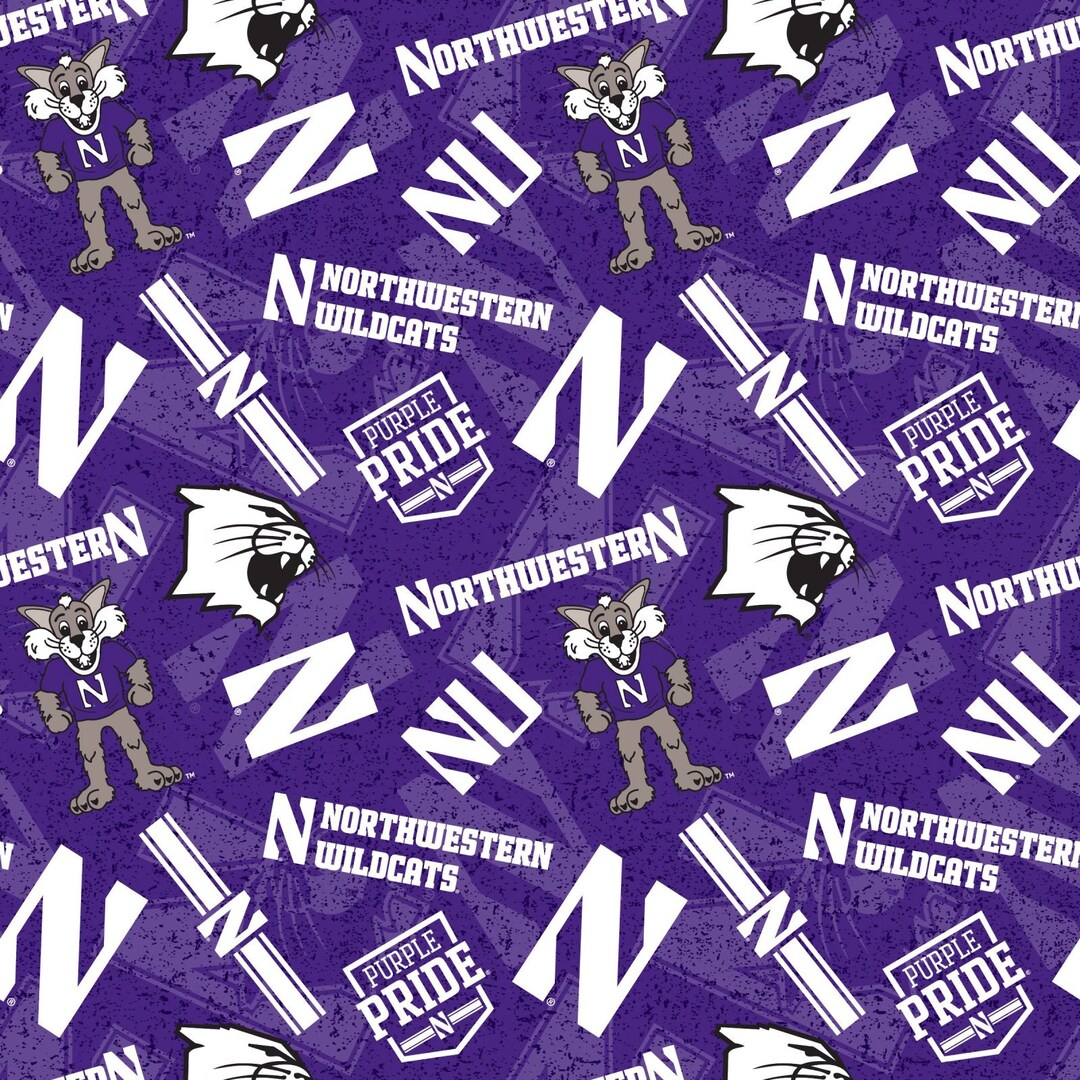 NCAA Northwestern University Wildcats NWS-1178 Purple & White College ...