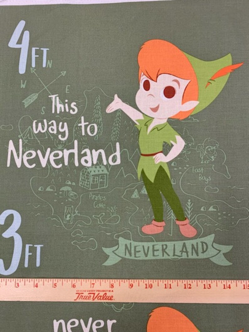 Disney Peter Pan or Tinkerbell Growth Chart 18 100% - Etsy