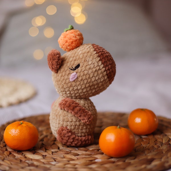 Crochet Capybara Kit - Etsy