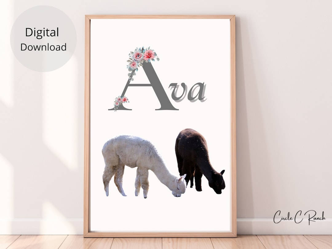 Ava Baby Name, Girl Name Ava, Digital Print Ava Alpaca, Ava Farm Animal ...