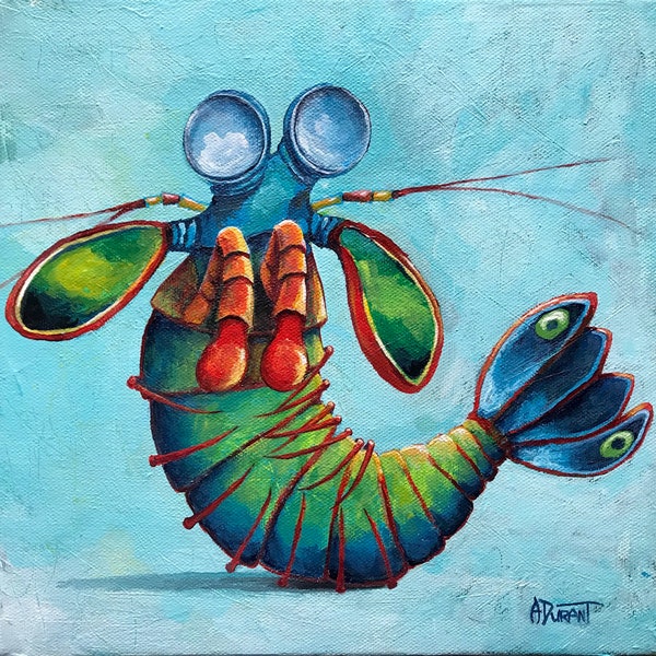 Mantis Shrimp - Etsy