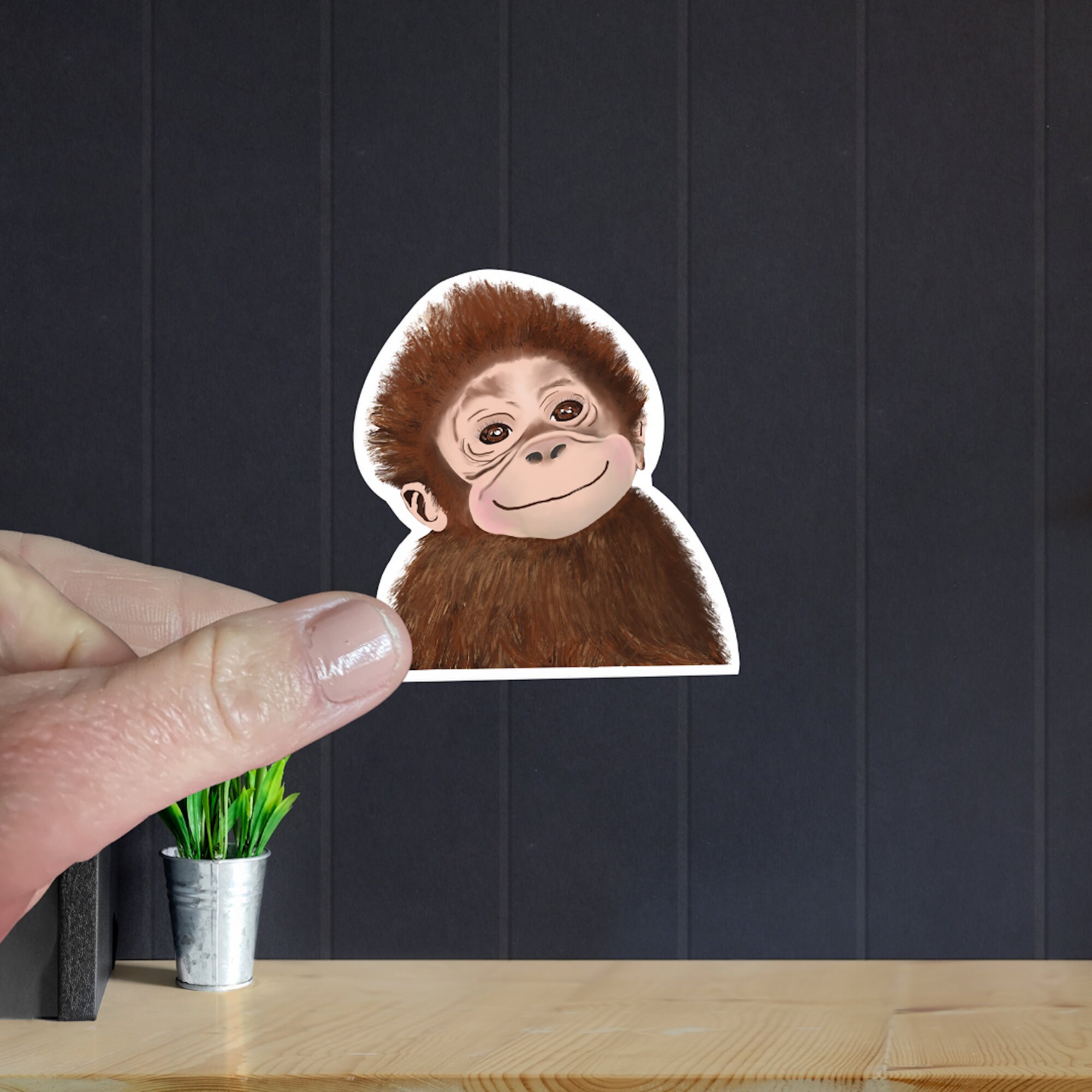 Cute Monkeys Tumblr