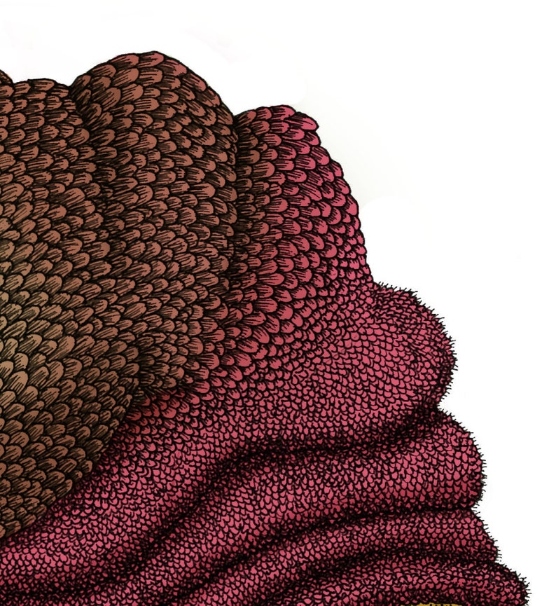 Snakes Colored Pen & Ink Illustration | Etsy