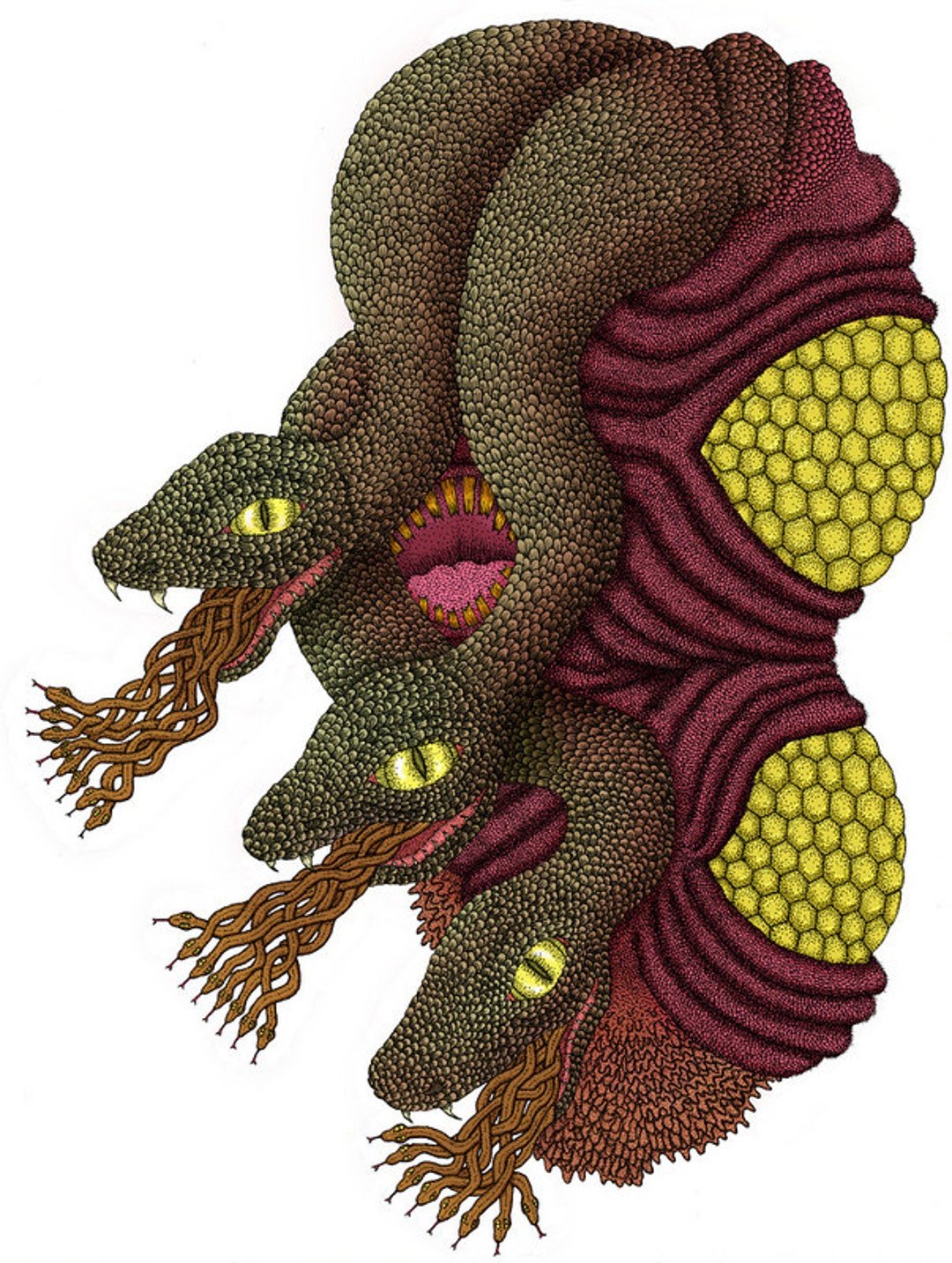 Snakes Colored Pen & Ink Illustration - Etsy