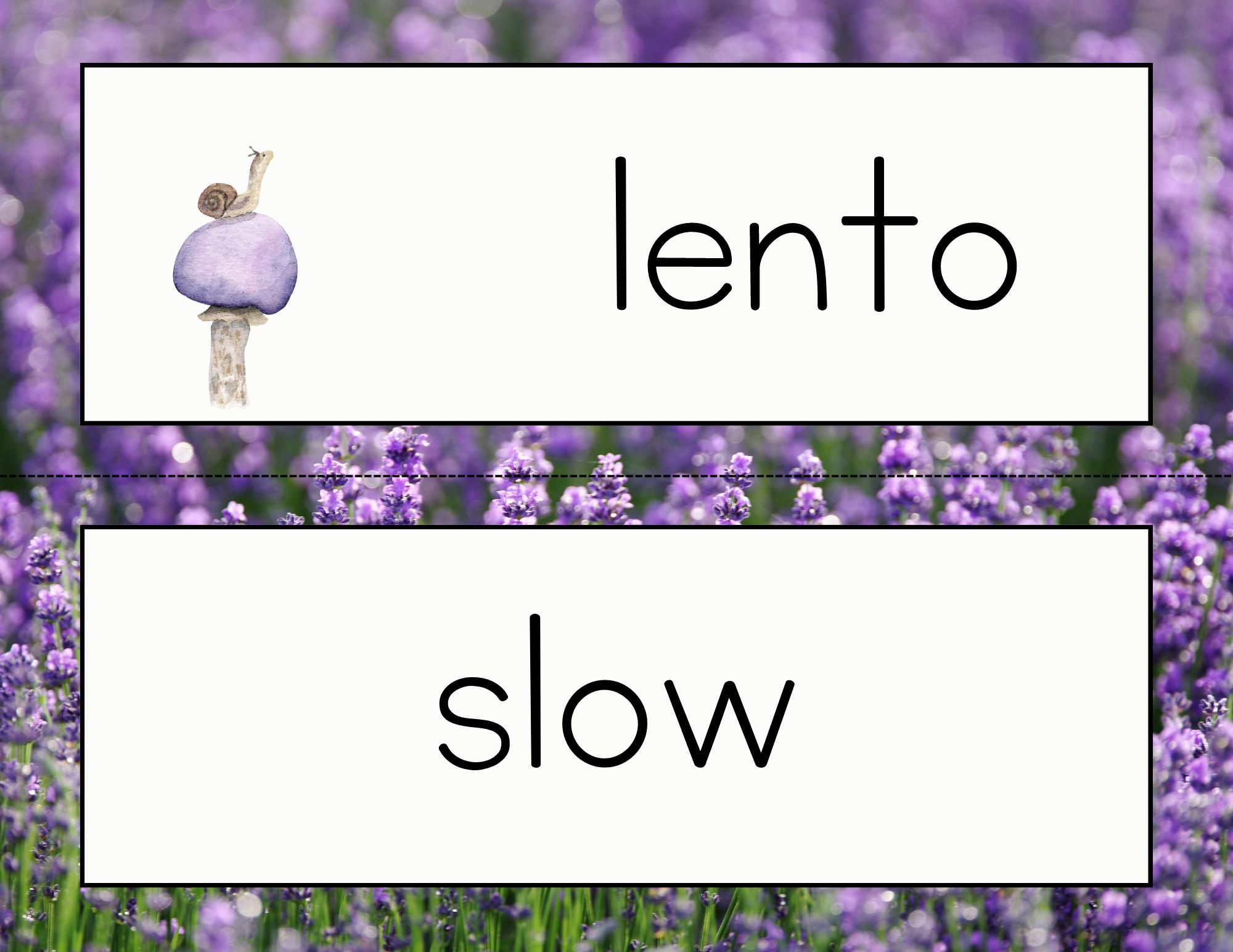 Tempo Matching Cards for Music Centers | Elementary Music Music Piano ...