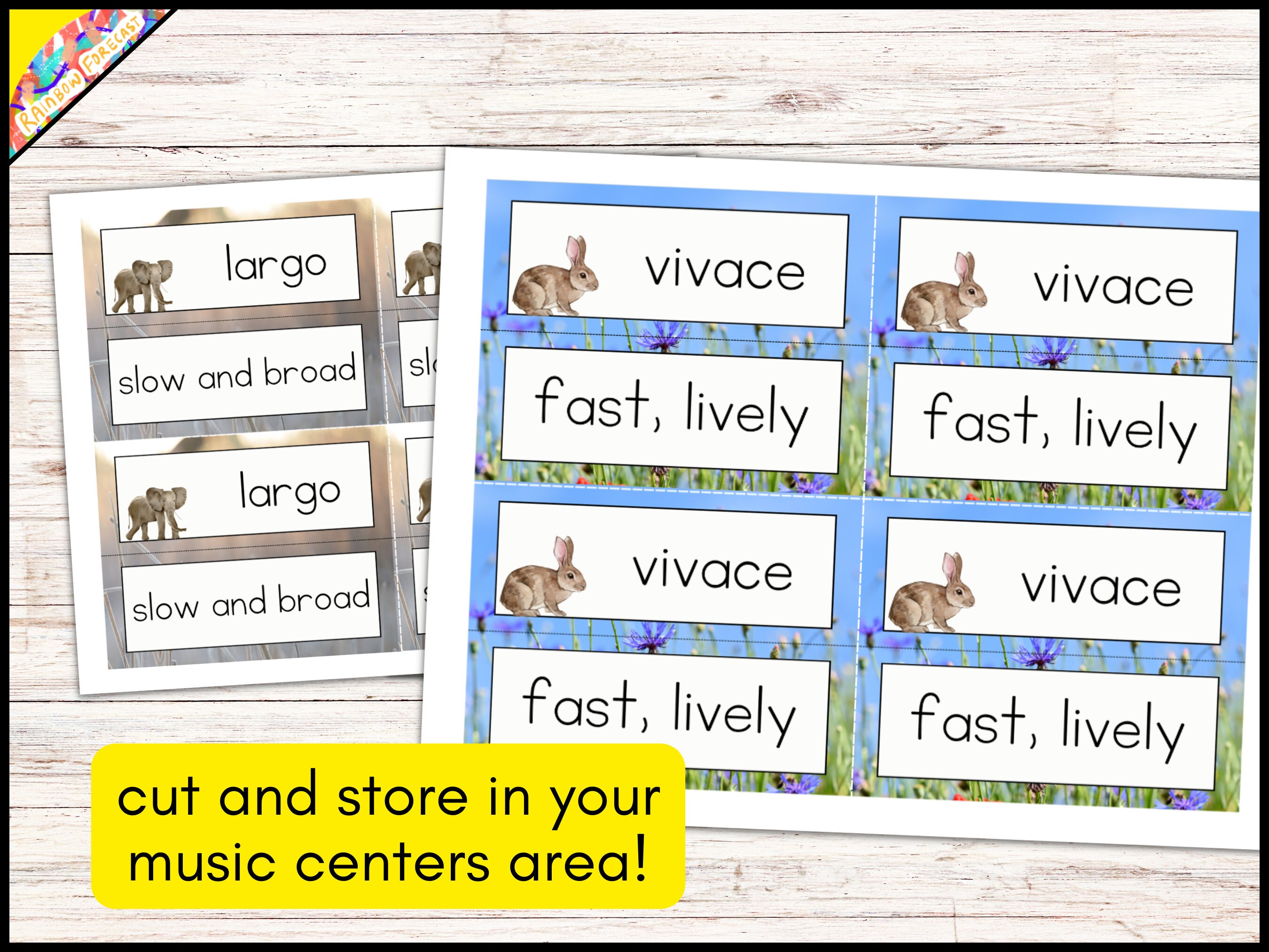 Tempo Matching Cards for Music Centers Elementary Music Music Piano ...