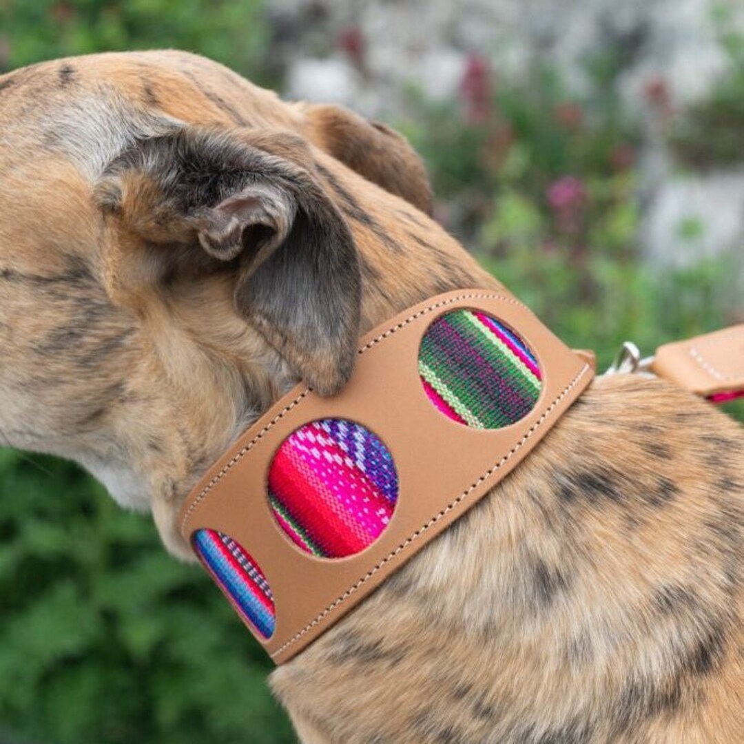 Inca Pink Hound Collar - Etsy