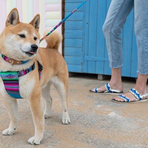 Inca Blue Dog Harness - Etsy