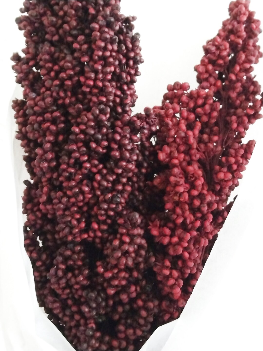 Red Millet Stems Bouquet Natural Flowers - Etsy