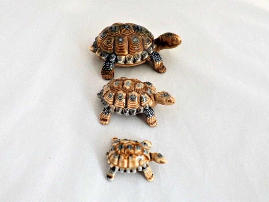 Wade Mother Father and Baby Tortoise's Complete Set - Etsy