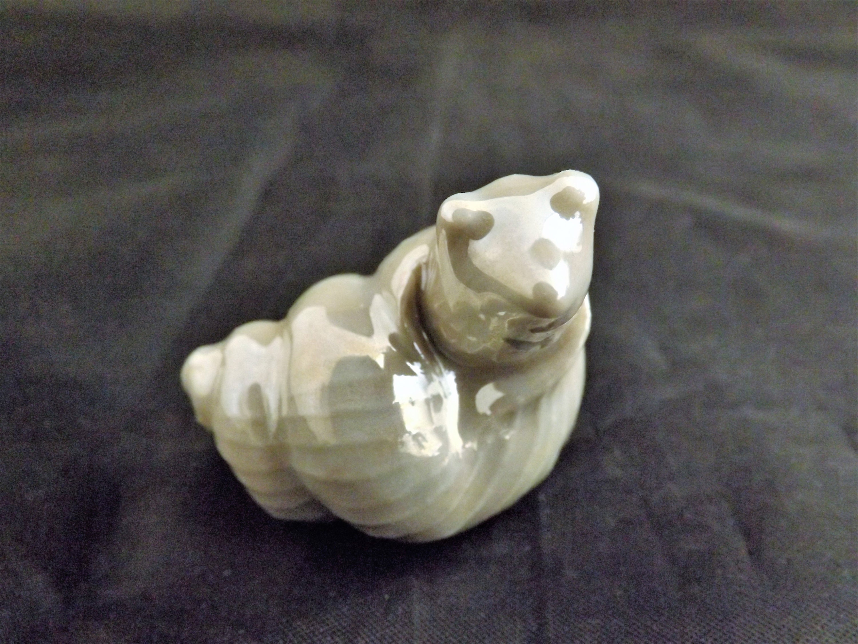 Wade Fair Sea Whelk Pearl Lustre Colourway Whimsie perfect | Etsy