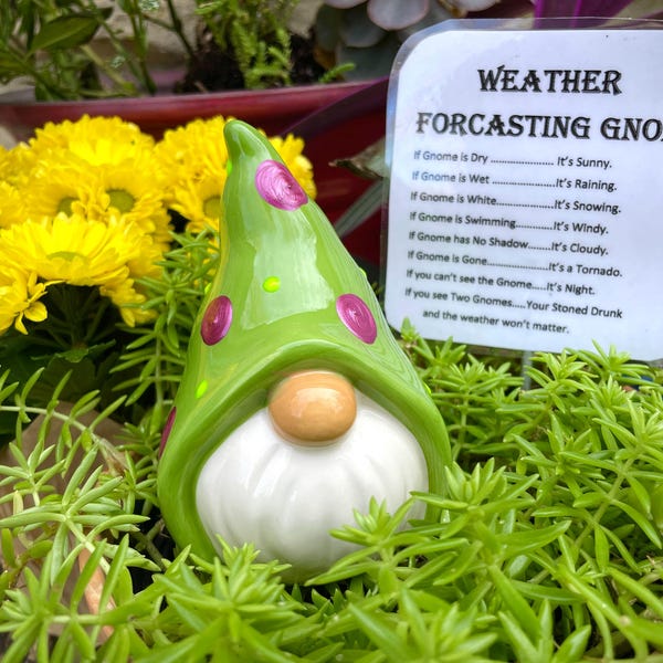 Weather Gnome - Etsy