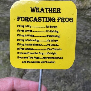 Funny Weather Forecasting Frog for Your Garden,frog Lover Gift Weather ...