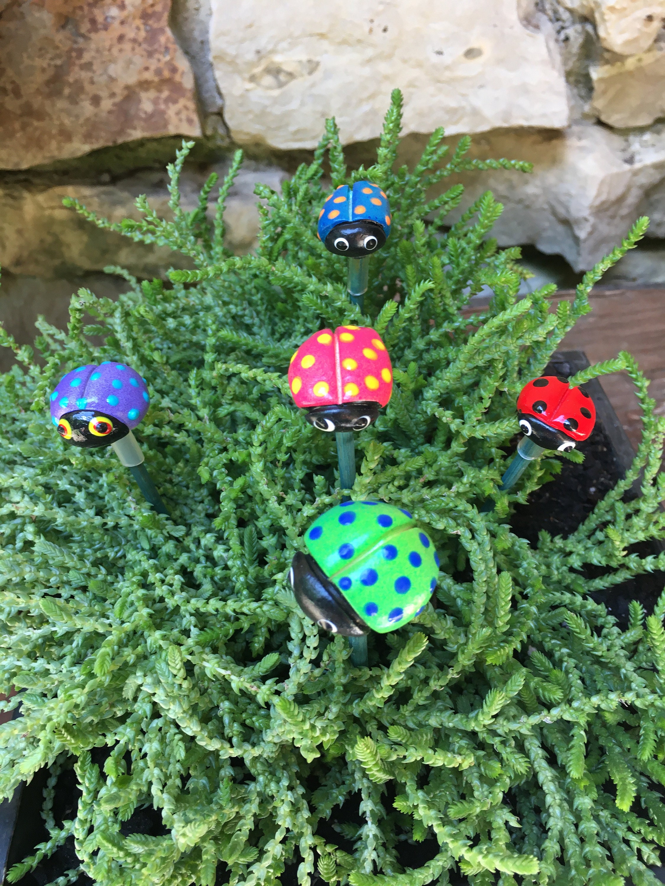 5 Ceramic Ladybug Garden Stakes, Ladybugs, Garden Stakes,Potted plants ...