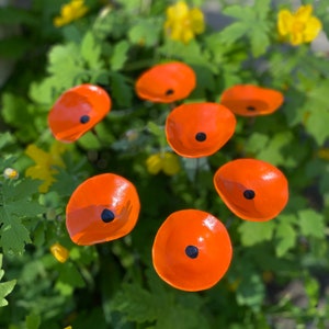 Set of 7 Mini Poppy Flower Stakesorange Poppy Flower Pot - Etsy